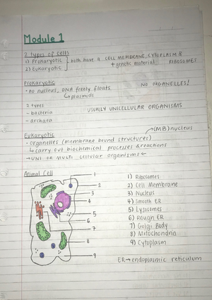 Year 10 - Science Task 3 Notes - Science Task 3 Notes – Motion ...
