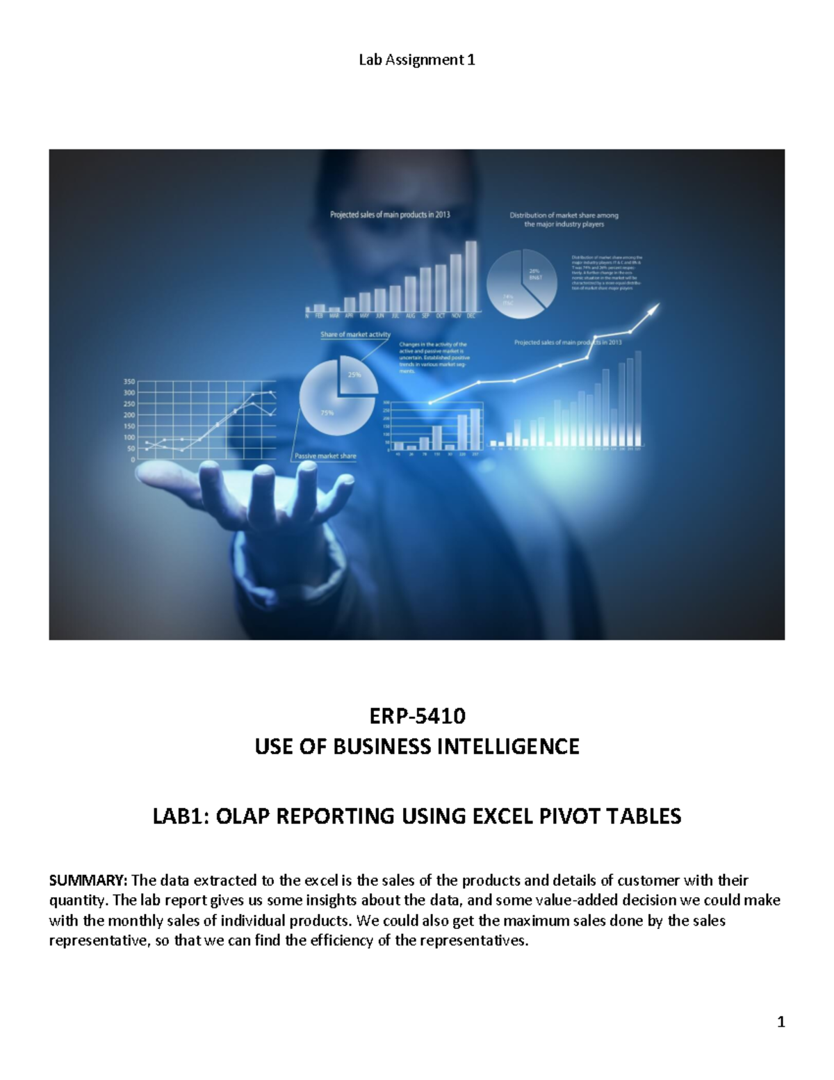 LAB 1 Assignment - ERP- USE OF BUSINESS INTELLIGENCE LAB1: OLAP ...