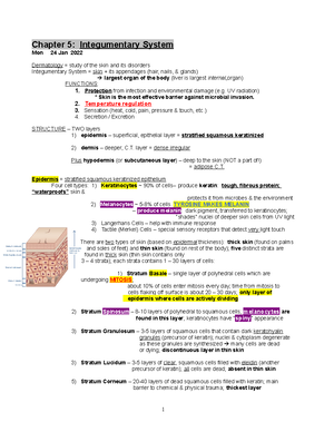 Anatomy ch - Notes about the tissues - ‘Chapter 3: Tissues Wed, Fri 19 ...