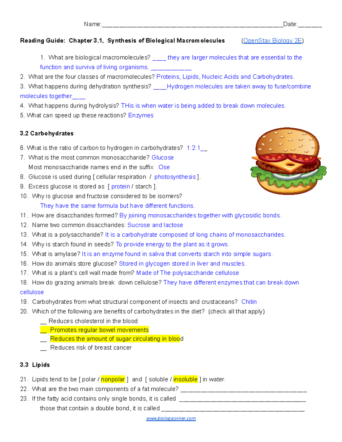 Macromolecule Reading Guide: Unit 1 AP - Name