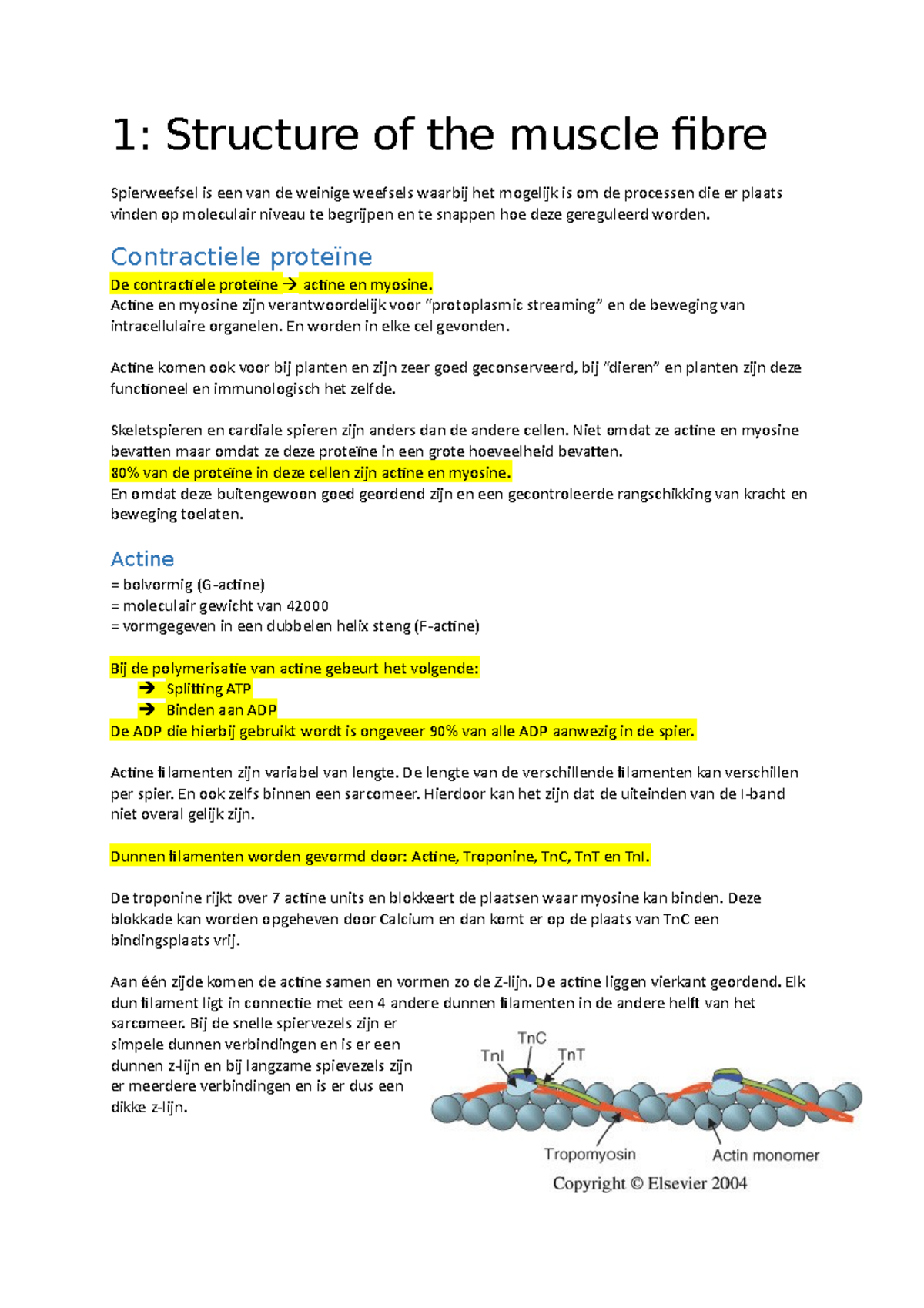 Samenvatting Skeletal Muscle from Molecules to Movement - 1: Structure ...