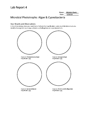 Lab Exercise 6 - lab work - Lab Report 6 Name: Michele Glantz Date: 5 ...