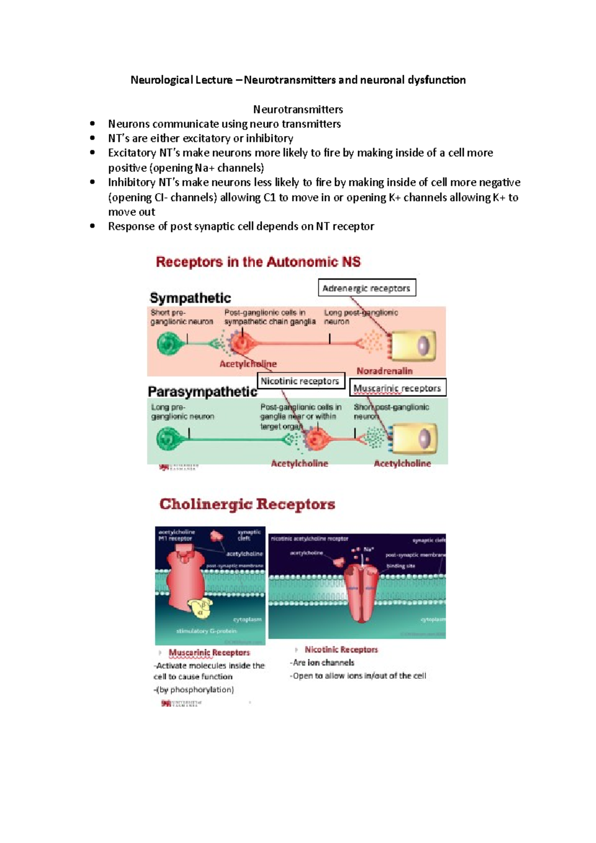 Neurological Lecture – Neurotransmitters and neuronal dysfunction ...