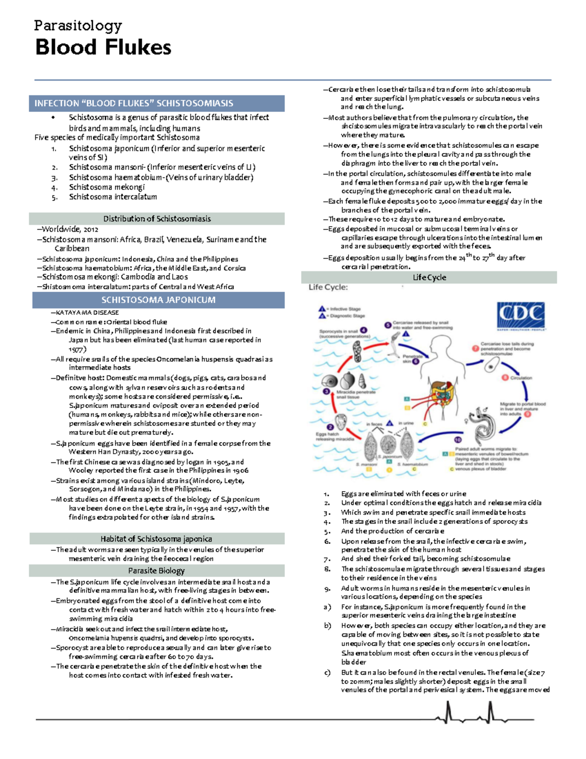 Parasitology Blood Fluke Summary - Parasitology Blood Flukes INFECTION ...