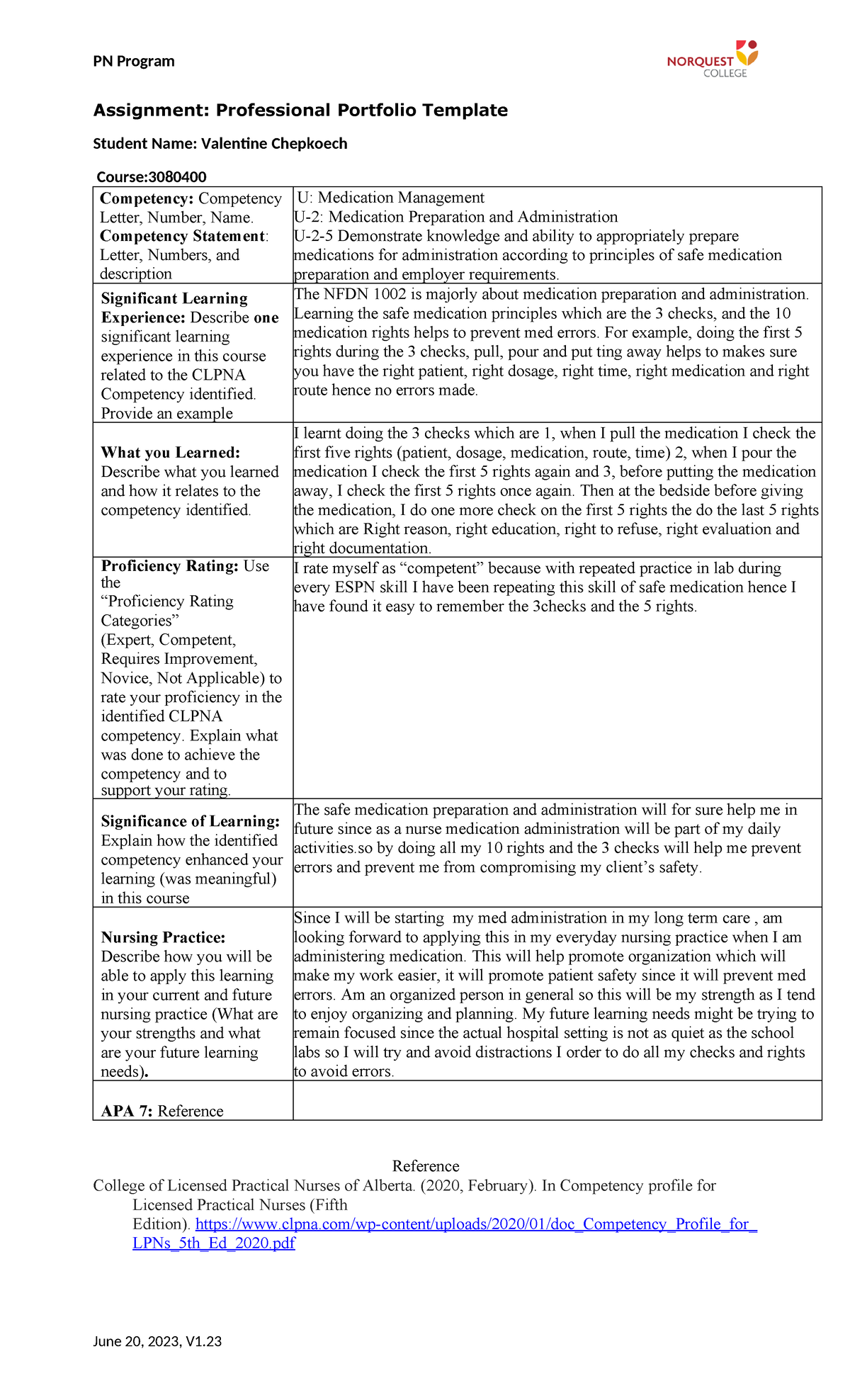 Professional Portfolio Template. V1.23 (1) - PN Program Assignment: Professional Portfolio ...