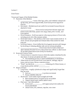Outline 2 - notes - Human Anatomy Lecture 2 Study of Cells Cell shapes ...