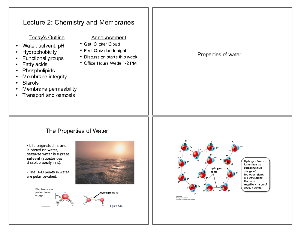 Lecture 2 - Chemistry bonds and membranes Canvas - Lecture 2: Chemistry ...