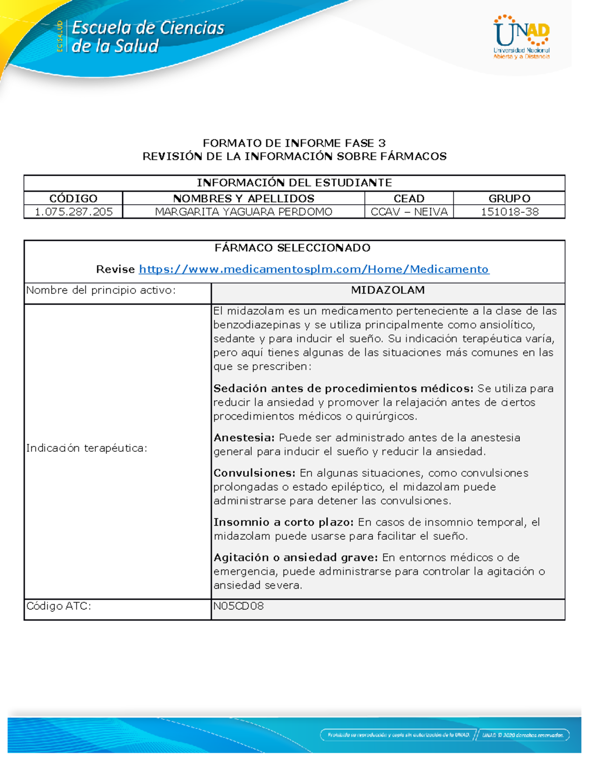 Ficha Anexa fase 3 - Margarita - FORMATO DE INFORME FASE 3 REVISIÓN DE LA INFORMACIÓN SOBRE ...