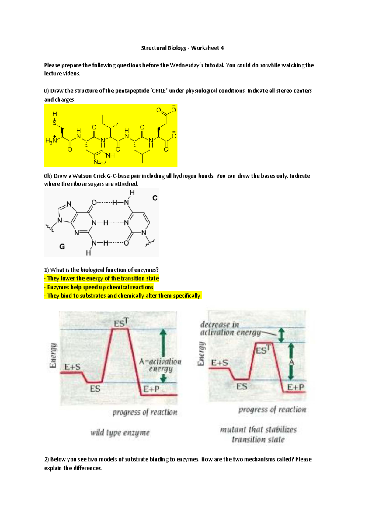 SB Worksheet 4 solutions - Structural Biology - Worksheet 4 Please ...