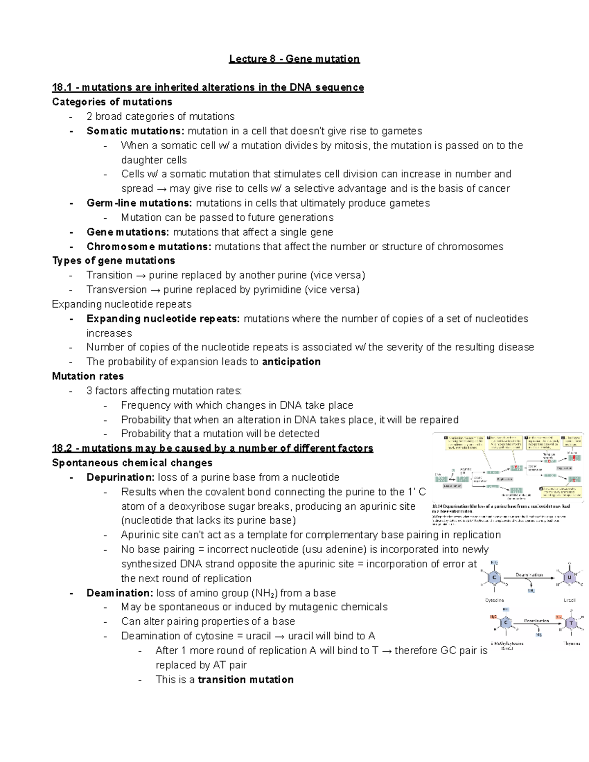 Lecture 8 Gene Mutation Lecture 8 Gene Mutation 18 Mutations