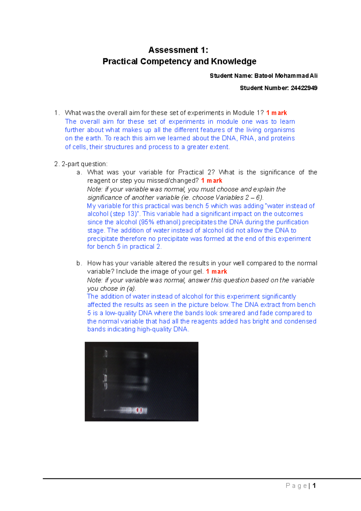Assessment 1 - Prac Report-2 Batool Mohammad Ali 24422949 - Assessment ...