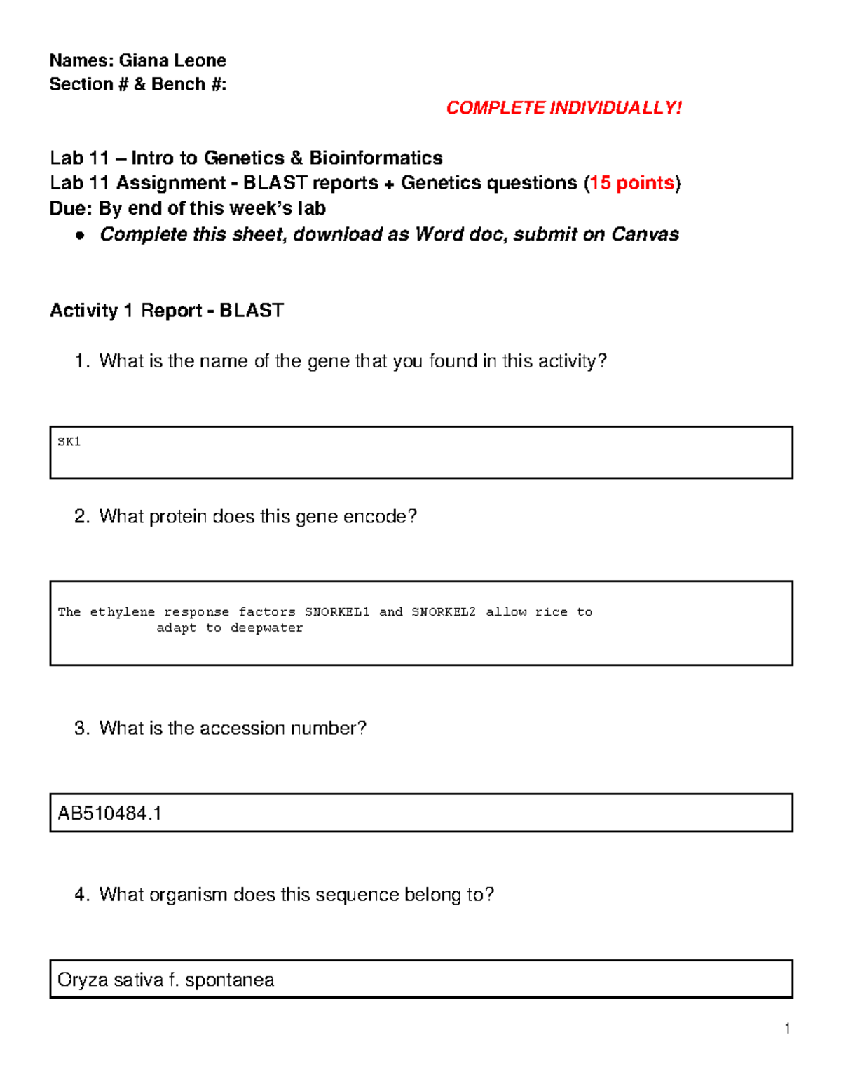 Blast questions - Section # & Bench #: COMPLETE INDIVIDUALLY! Lab 11 ...
