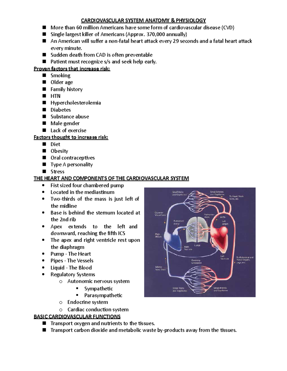 Cardiovascular System Anatomy - CARDIOVASCULAR SYSTEM ANATOMY ...