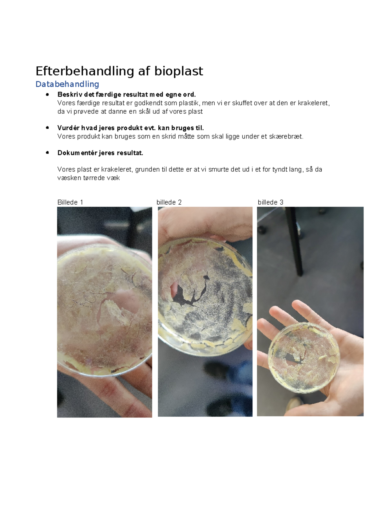 Bioplast - Efterbehandling af bioplast Databehandling Beskriv det færdige resultat med egne ord ...