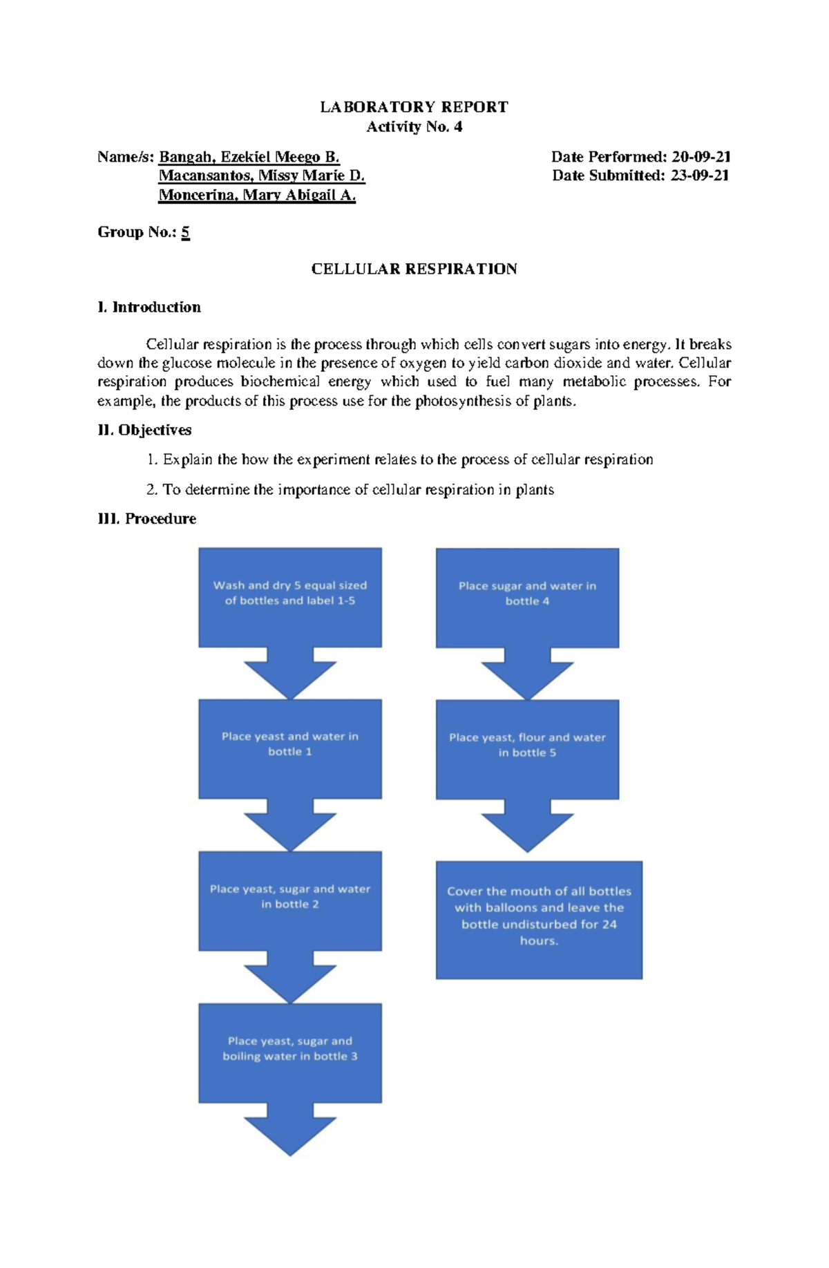 Group 5 - Activity 4 - Cellular Respiration - LABORATORY REPORT ...