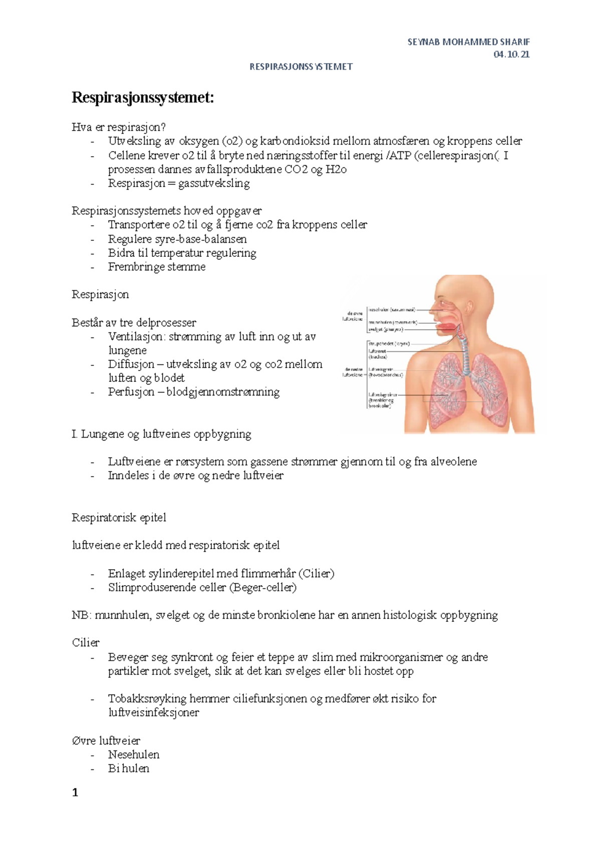 Respirasjonssystemet - RESPIRASJONSSYSTEMET Respirasjonssystemet: Hva ...