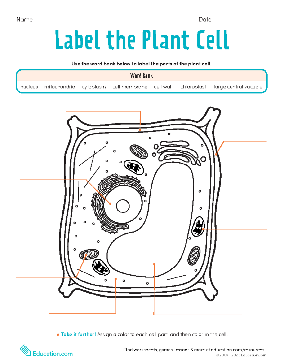 Label the plant cell level 1 - Scientific Research Methods - Name - Studocu