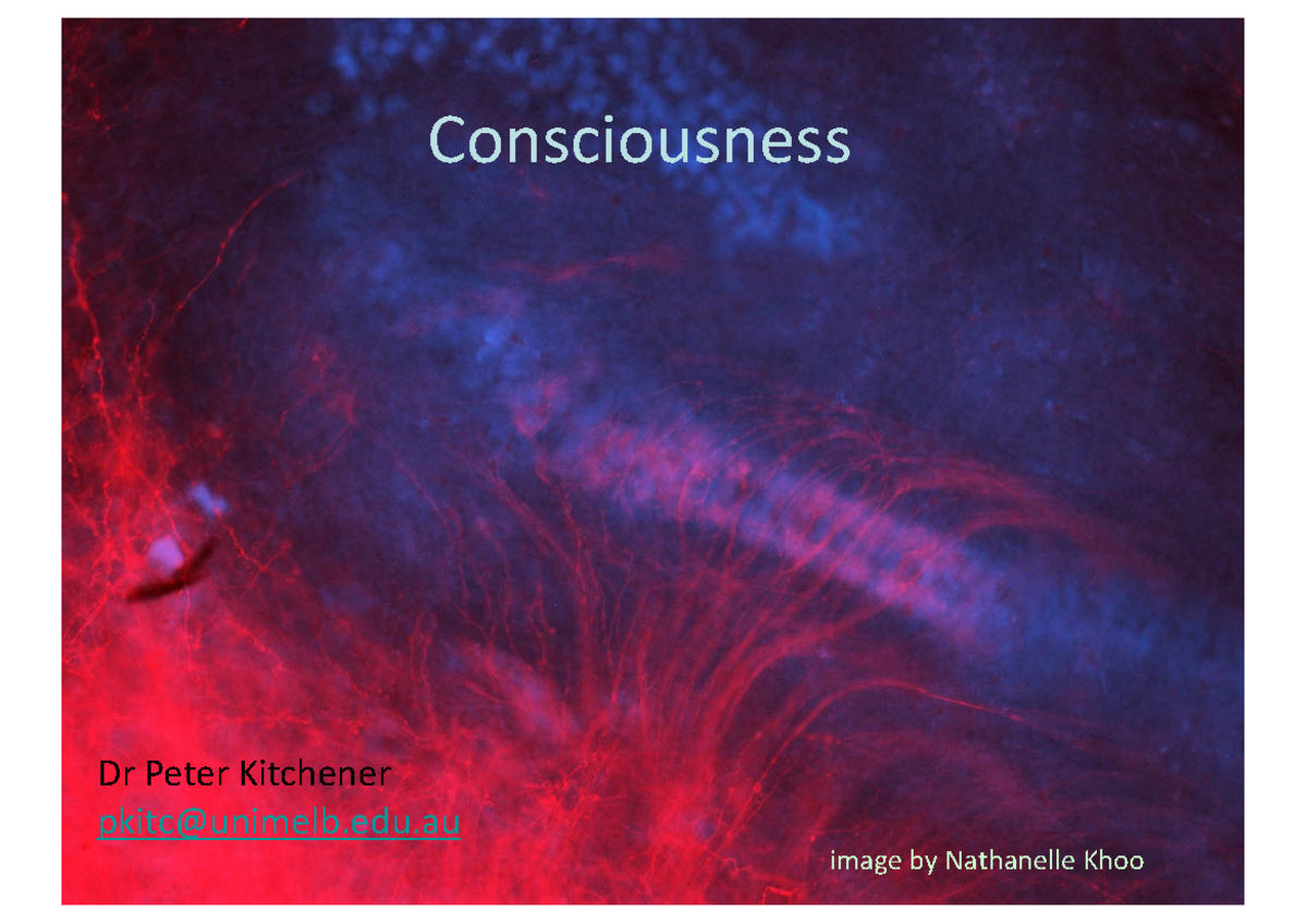 Lect 33 2024 - Lecture notes for consciousness - Consciousness Dr Peter ...