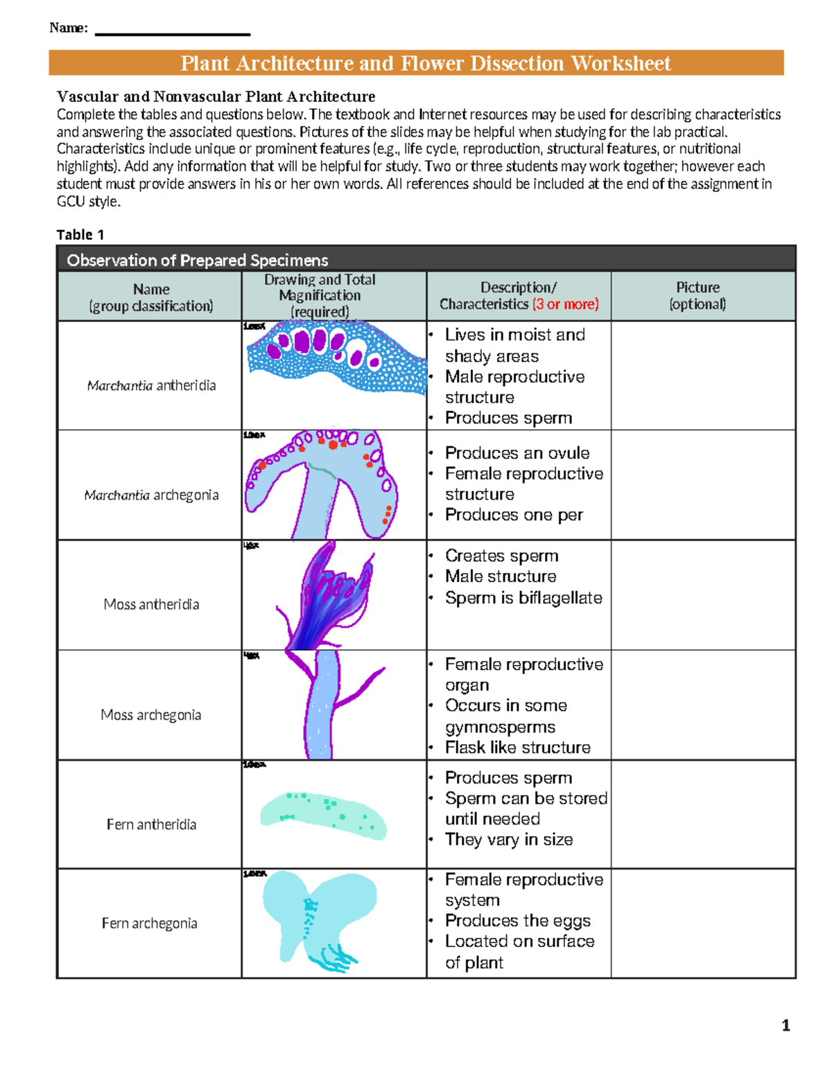 Plant Architecture and Flower Dissection Lab4 - Plant Architecture and ...