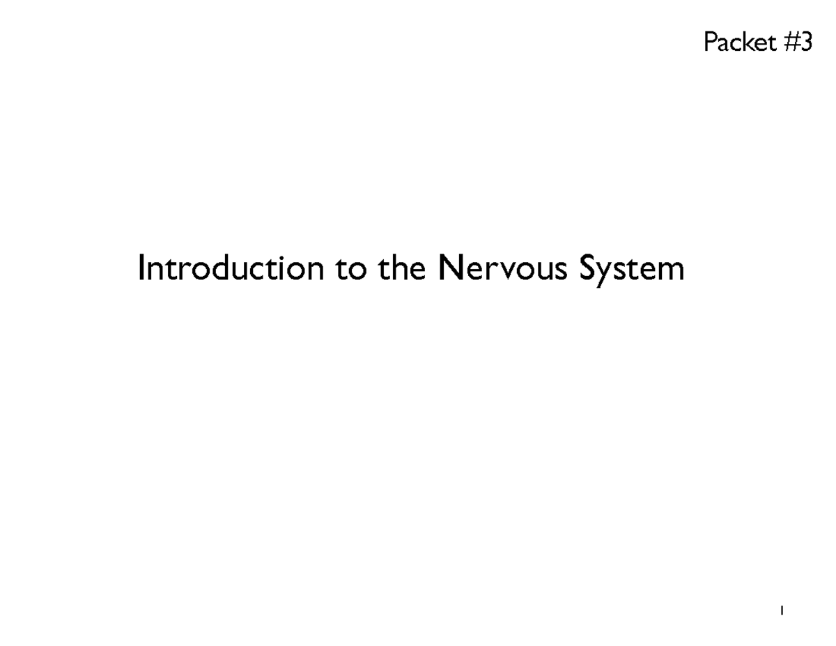 Packet 03 - Intro to Nervous System - Introduction to the Nervous ...