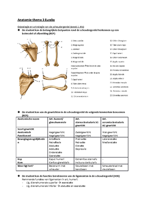 Samenvattubg Anatomie - Anatomie Webinar 1 FeSSTooL : Assen en vlakken ...