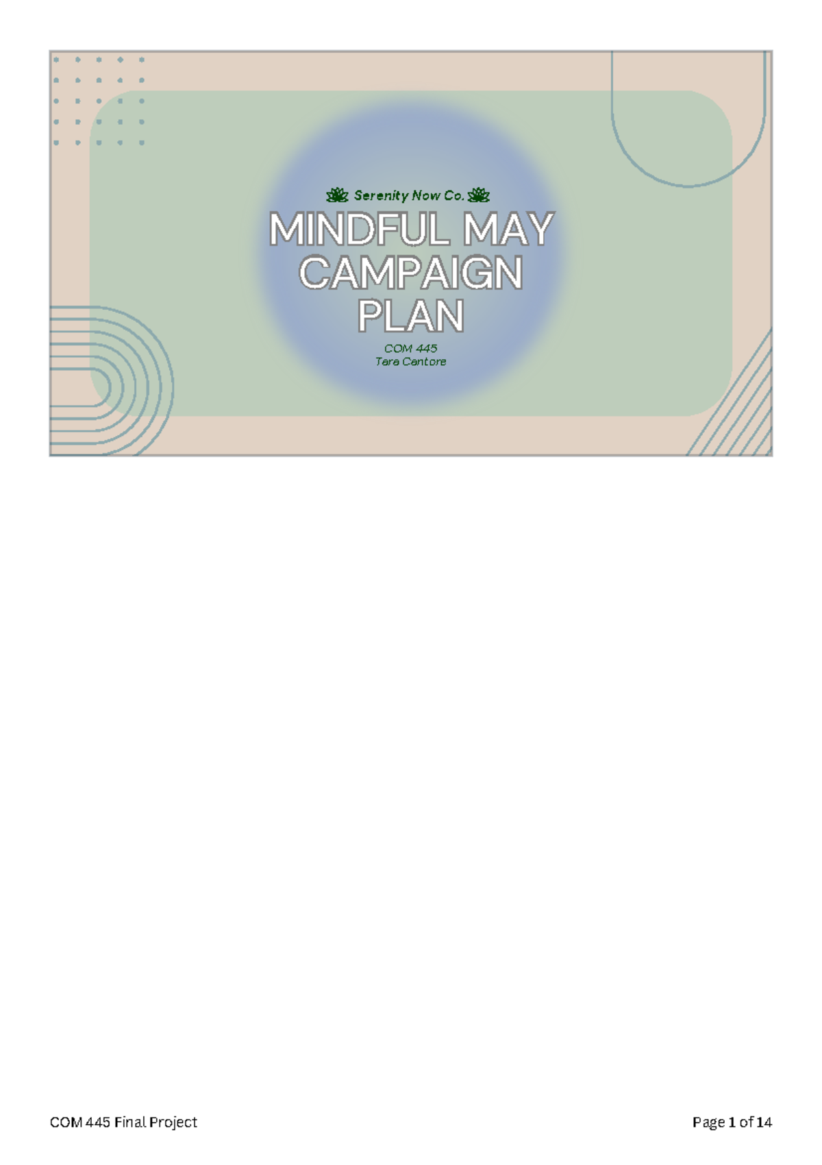 COM 445 Final Project - MINDFUL MAY CAMPAIGN PLAN MINDFUL MAY CAMPAIGN ...