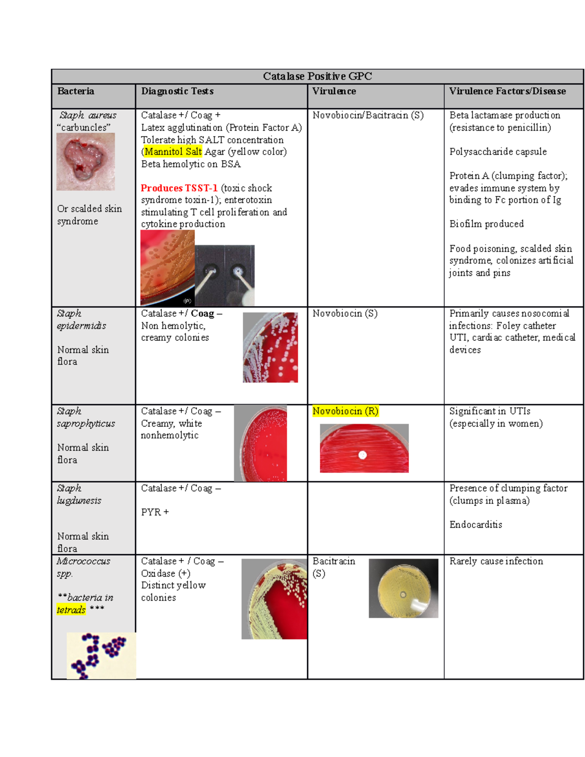 Gram Postive Cocci Review Tables - Catalase Positive GPC Bacteria ...