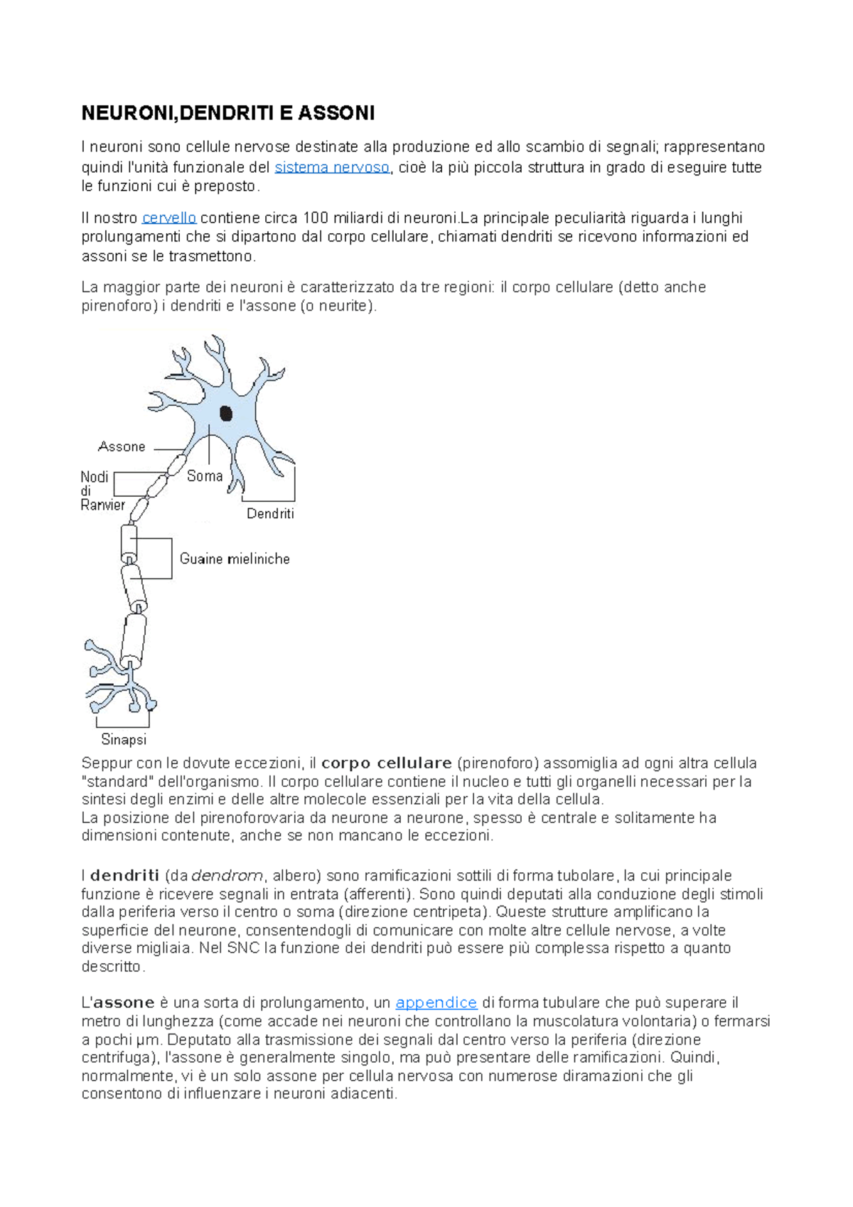 Neuroni - NEURONI,DENDRITI E ASSONI I neuroni sono cellule nervose ...