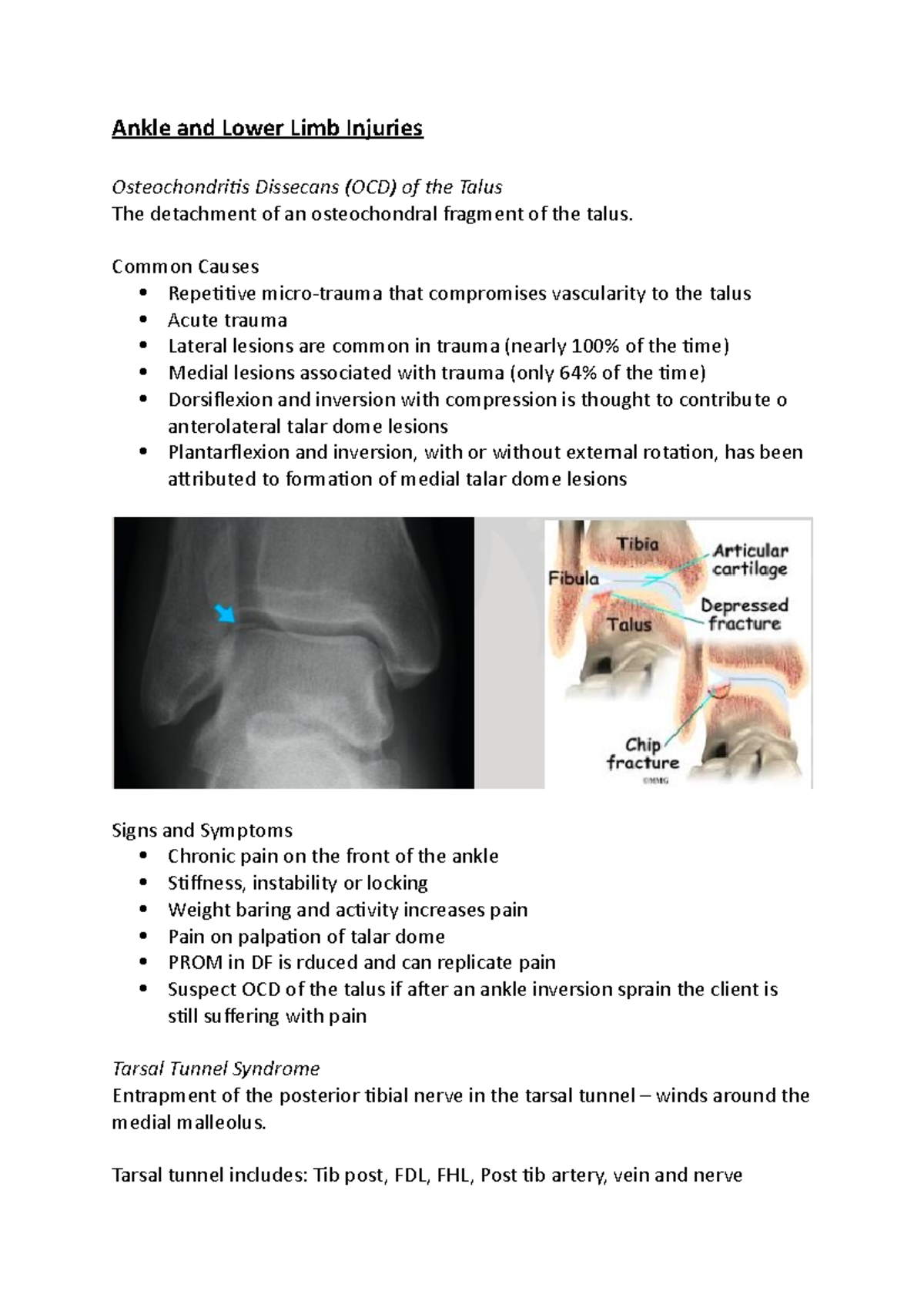 Ankle and Lower Limb Injuries - Ankle and Lower Limb Injuries ...