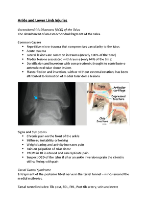 Red and Yellow Flags and Clinical Reasoning - May limit the ability for ...