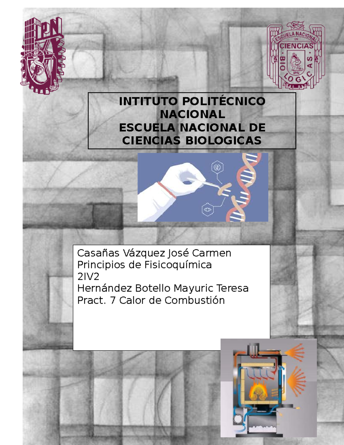 Pract. 7 Calor de combustion - INTITUTO POLITÉCNICO NACIONAL ESCUELA ...