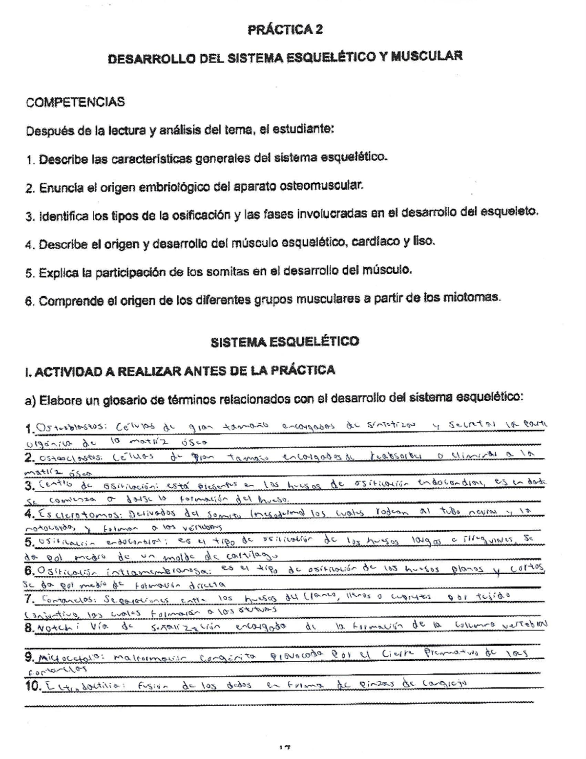 Desarrollo del sistema esquelético y muscular | Práctica - Embriologia ...