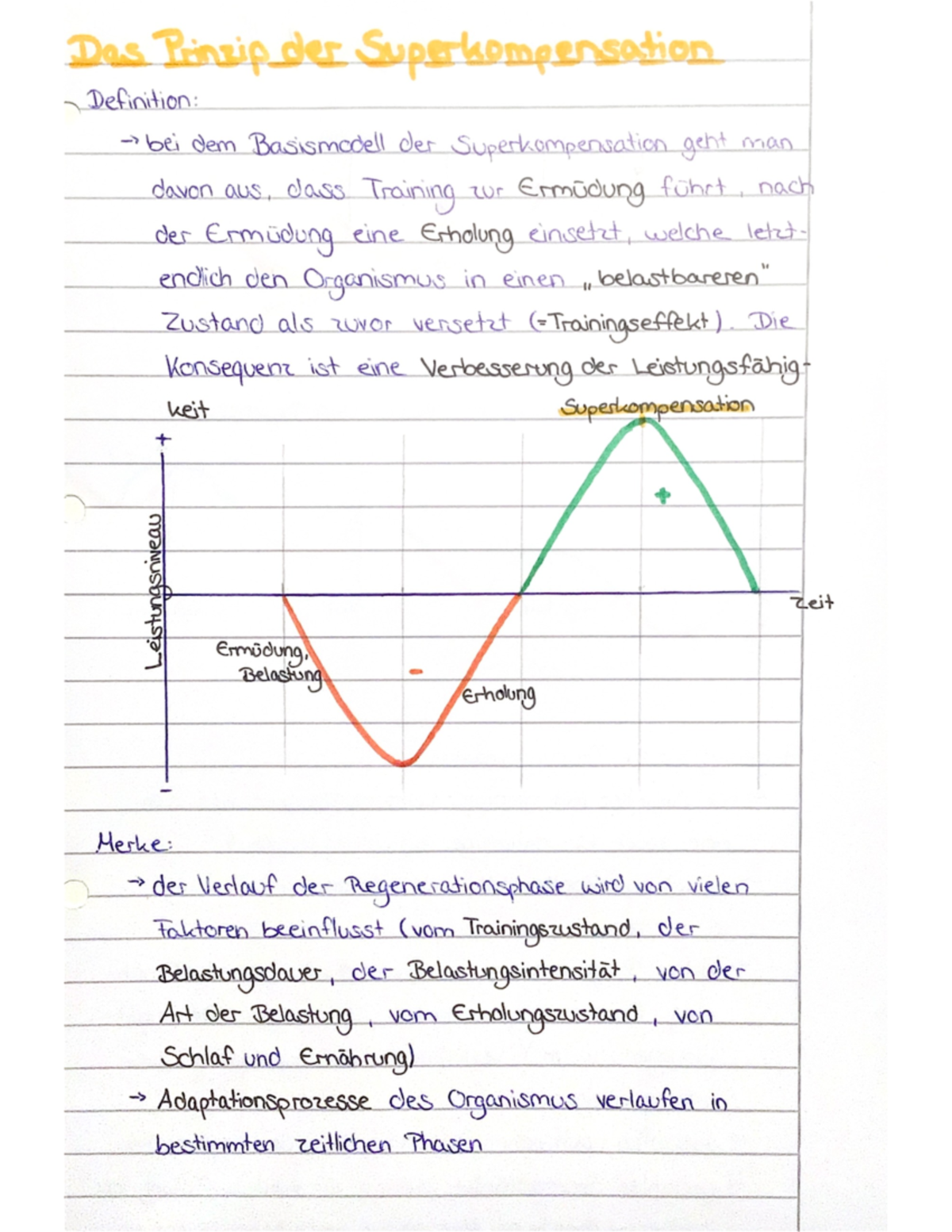 Prinzip der Superkompensation - Sportwissenschaftliche Grundlagen für ...