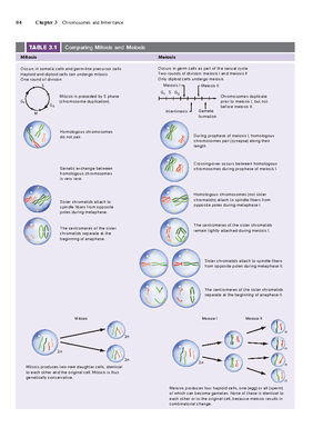 Genetics - 380 - Studocu