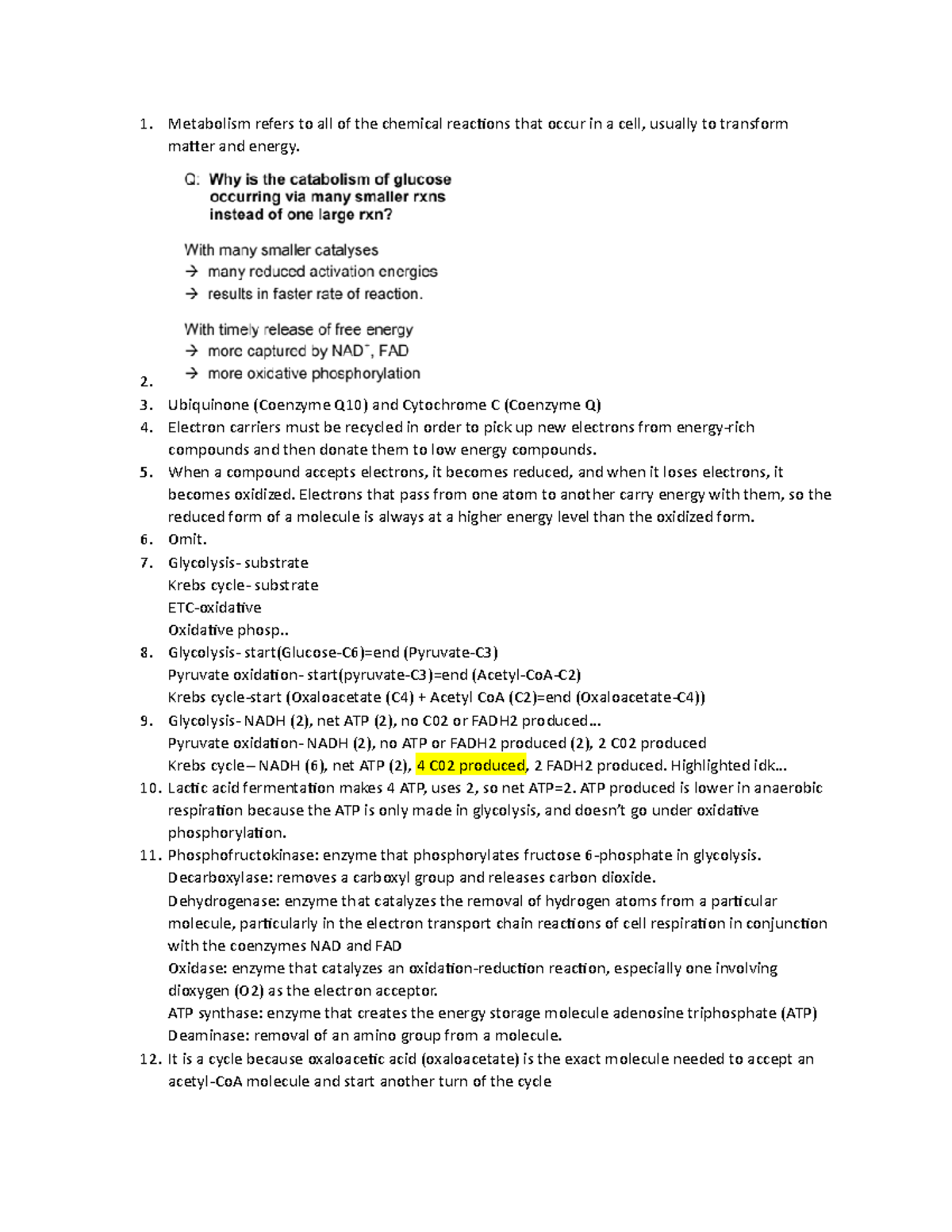 Metabolic Processes Test Info - Metabolism refers to all of the ...
