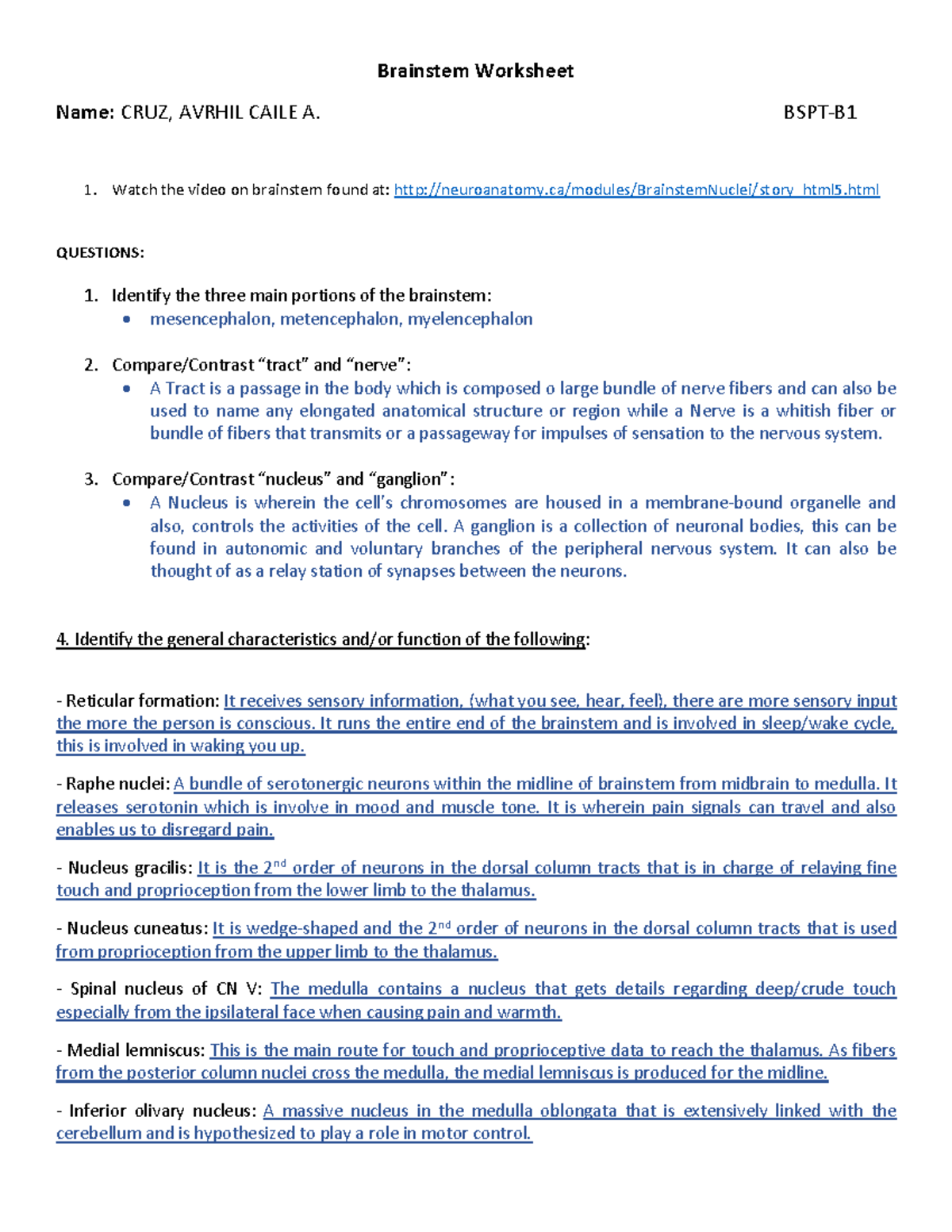 CRUZ BSPT B1 FAPN111 Brainstem Worksheet - Brainstem Worksheet Name ...