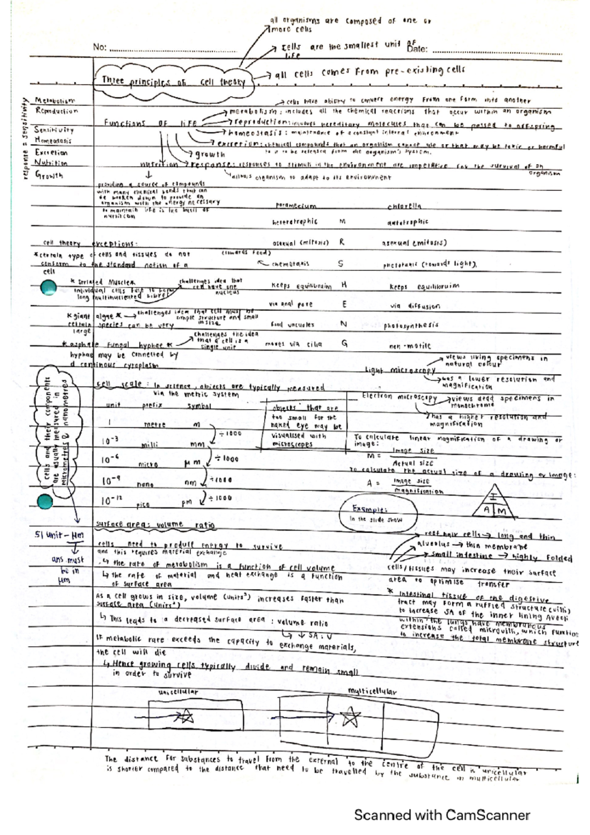 Bio notes for membrane structure - biology - Studocu