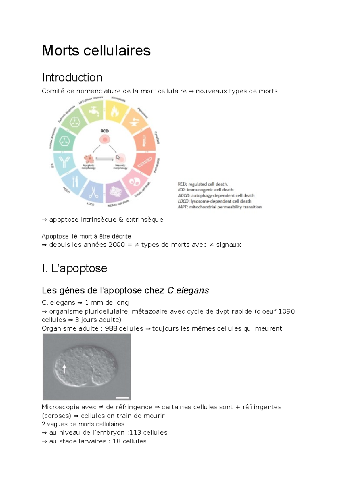 Morts cellulaires : apoptose et autres types de morts cellulaires ...