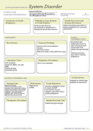 Priority Nursing Interventions for a Postpartum Client - 301 - STUDENT ...