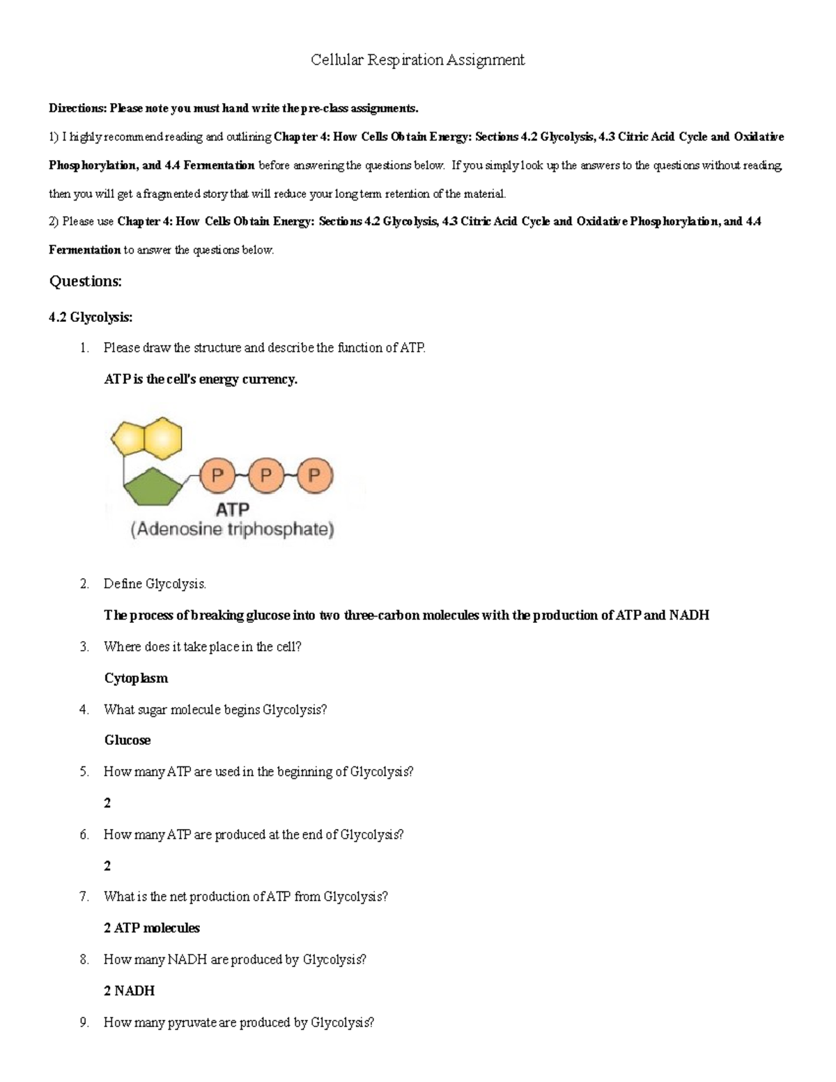 SCI1015 Cellular Respiration Assignment - Cellular Respiration ...