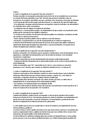 Teoría Derechos Humanos - Derechos Humanos, Igualdad Y Sistemas De Protección - UGR - Studocu