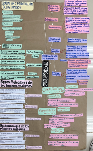 Trastornos genéticos - la securence del genoma humano esta completo y ...