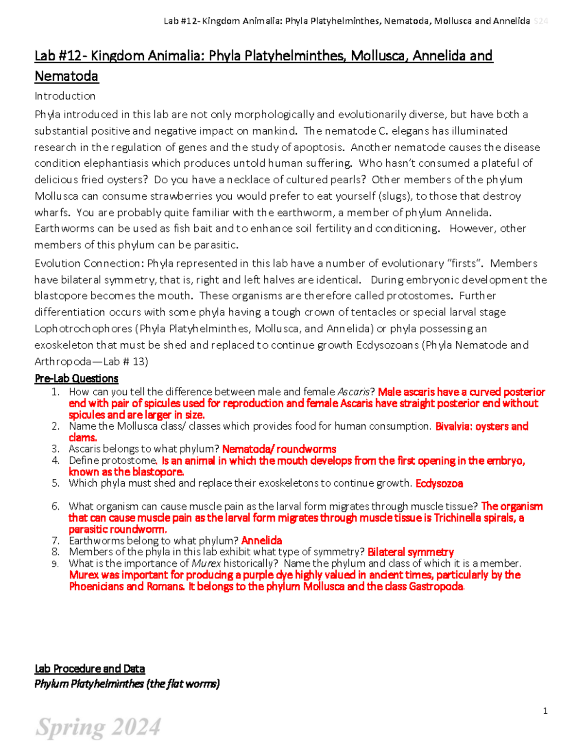 Lab #12 – Kingdom Animalia Phyla Platyhelminthes Mollusca Annelida and ...