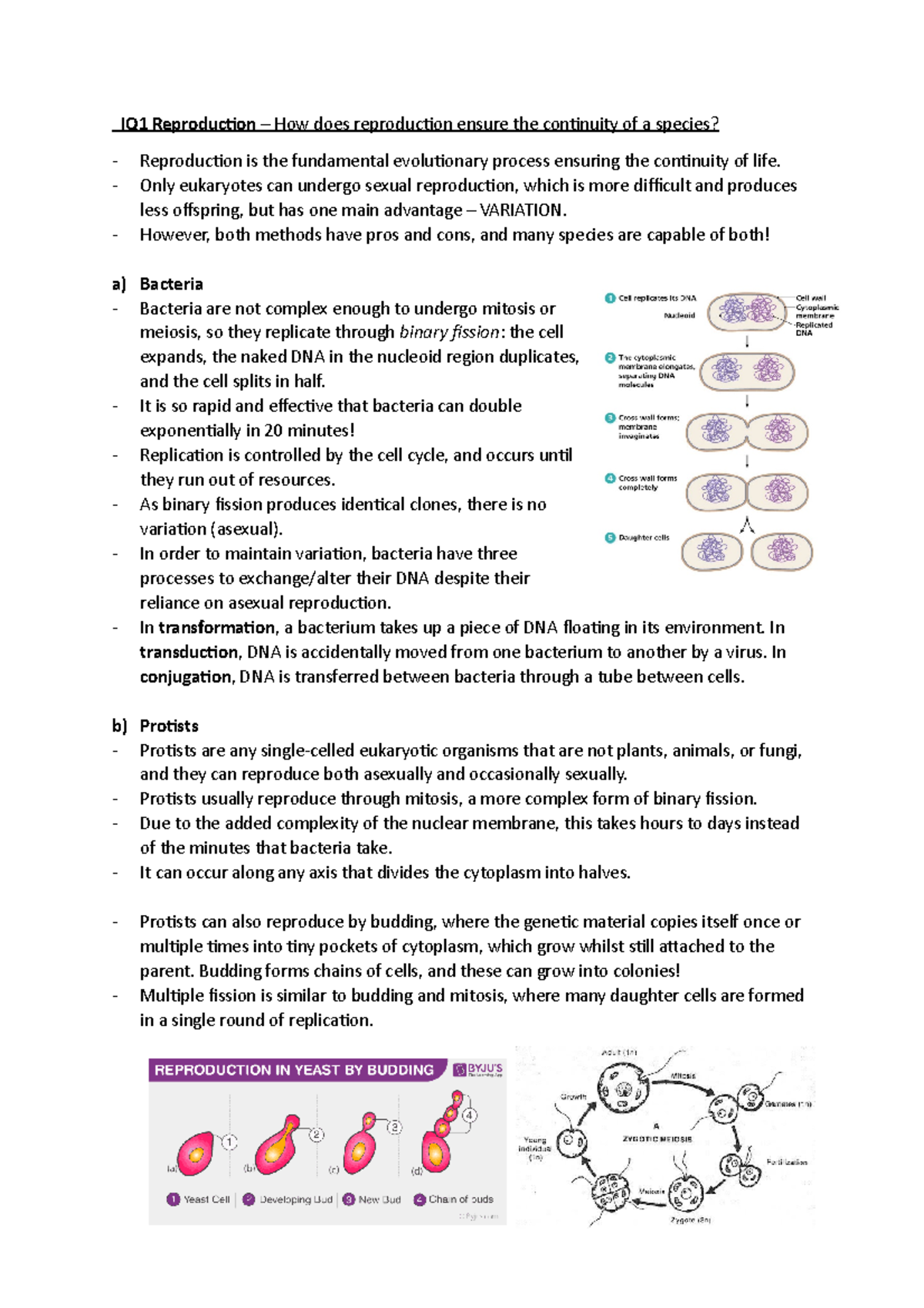 Module 5 - Heredity - IQ1 Reproduction – How does reproduction ensure ...