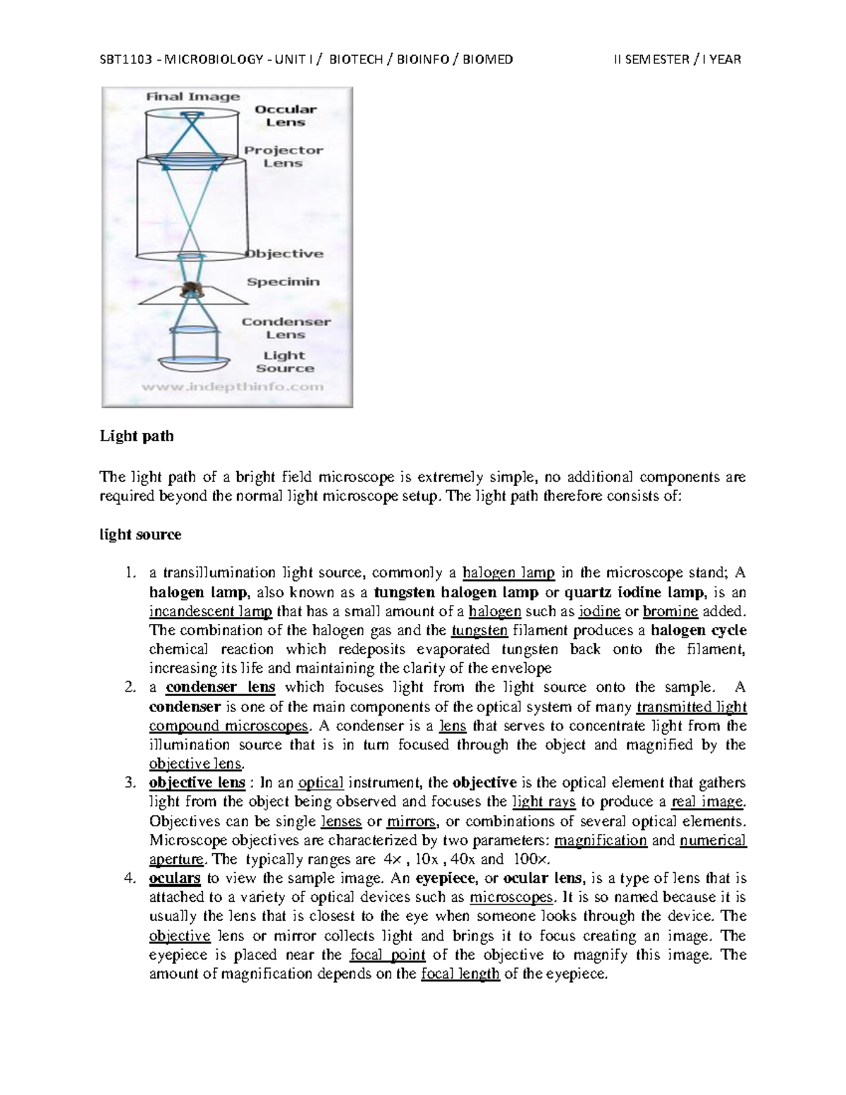 microbiology-43-61 - Light path The light path of a bright field ...