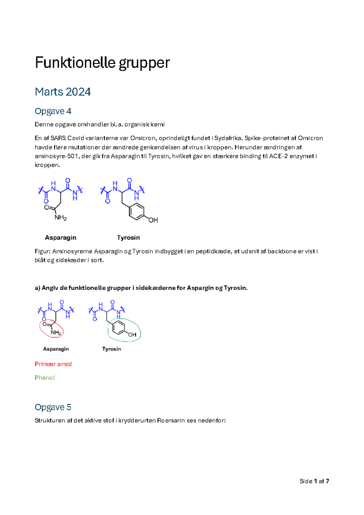 Funktionelle grupper - Funktionelle grupper Marts 2024 Opgave 4 Denne ...