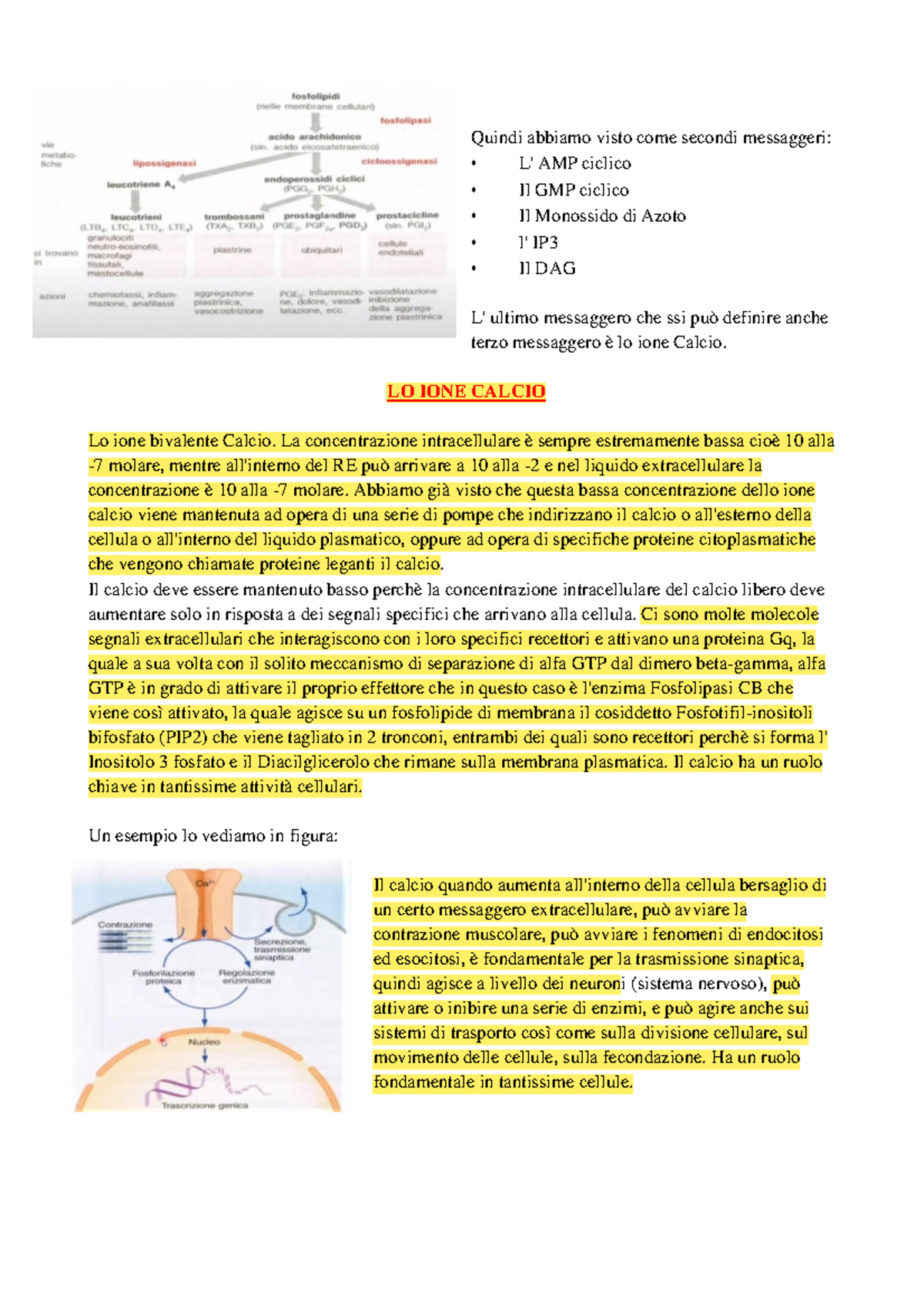 7 Lezione OK - Quindi abbiamo visto come secondi messaggeri: L' AMP ciclico Il GMP ciclico Il ...