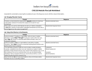 CYB 310 Module Three Lab Worksheet - CYB 310 Module Three Lab Worksheet ...