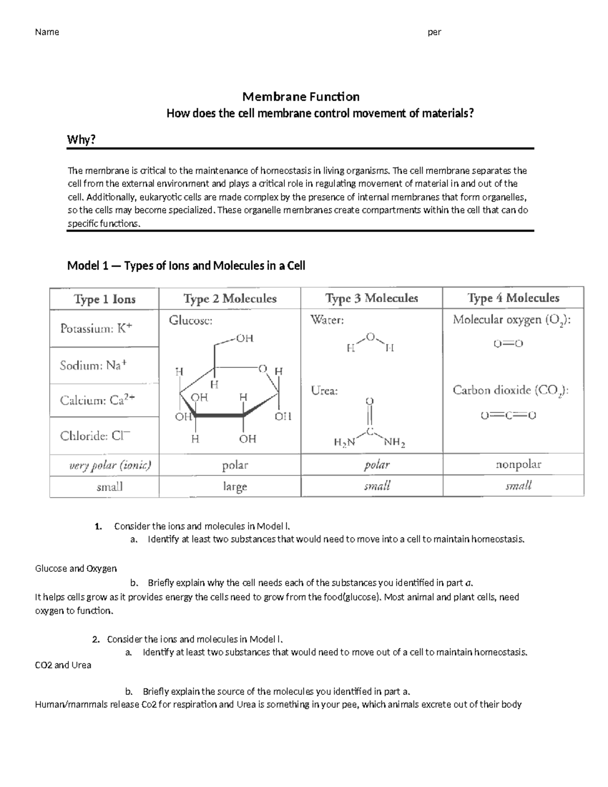 Pogil Membrane Function OLA - Name per Membrane Function How does the ...