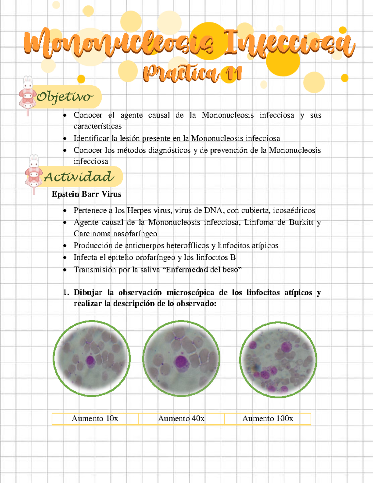 Practica 11 - .................... - Conocer el agente causal de la ...